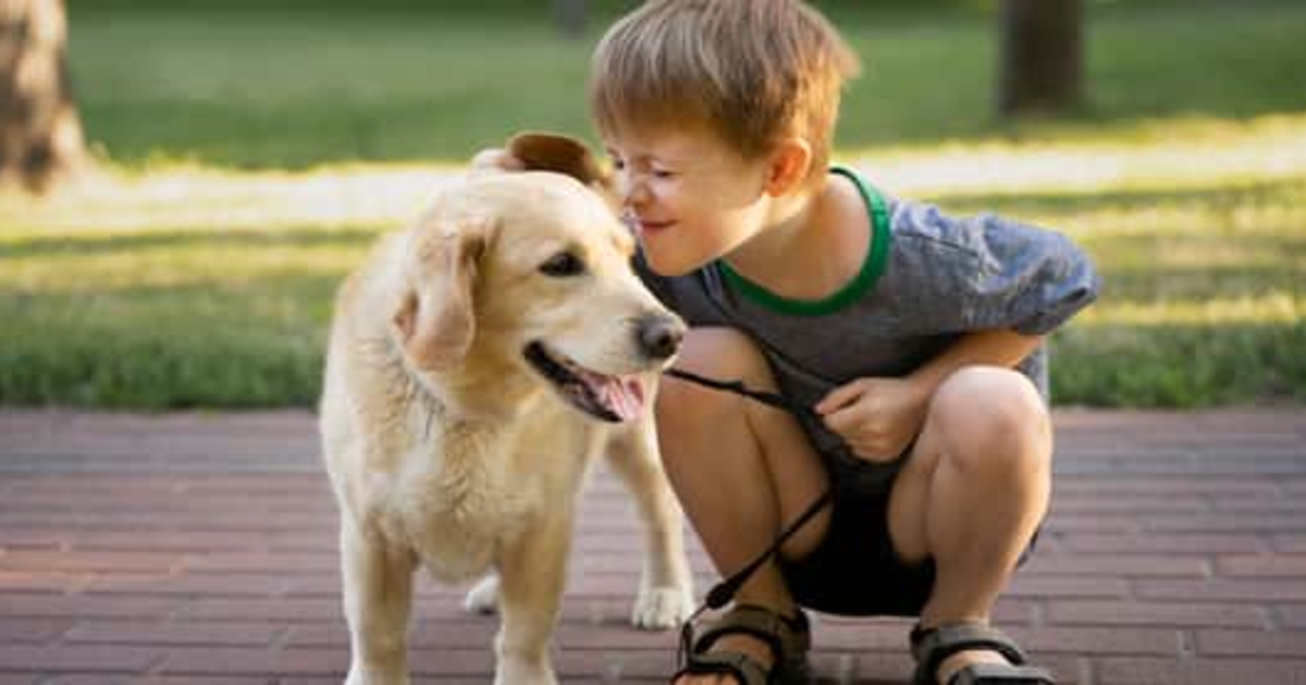 Pet Place: The benefits of an exclusive space for animals in the ...